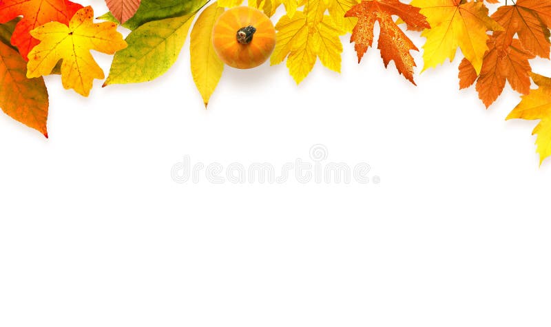 Isolated Autumn Leaves on White Background. Fall Concept. Stock Photo ...