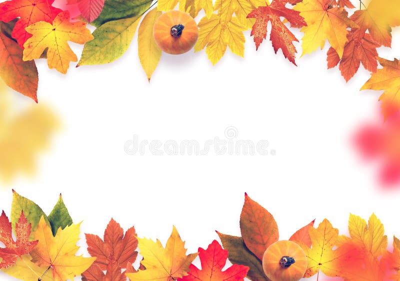 Isolated Autumn Leaves on White Background. Fall Concept. Stock Photo ...