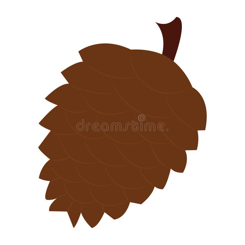 Isolated Autumn Pine Tree Seed Icon Vector Stock Vector - Illustration ...