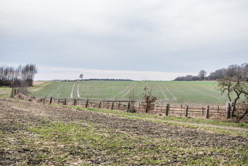 Isolated Background with Trees Stock Image - Image of natural, country ...