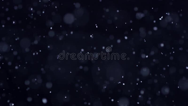 Snow Particles Overlay Loop on Black Background Stock Footage - Video ...