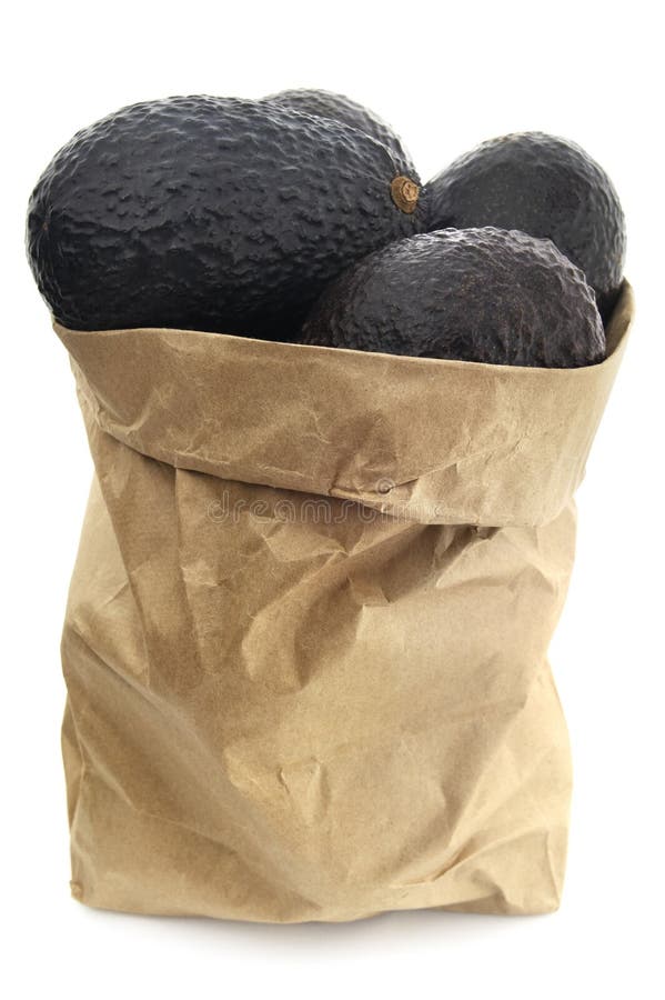 Isolated Bag Full of Avocados Stock Photo - Image of view, avocado ...