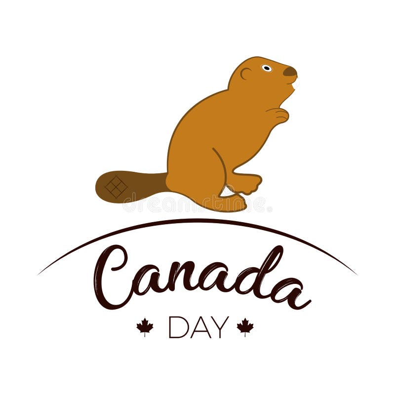 Isolated Beaver. Canada Day Stock Vector - Illustration of beaver, july ...