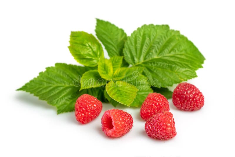 Isolated Berries. Pile of Raspberry Fruits with Leaves Isolated on ...