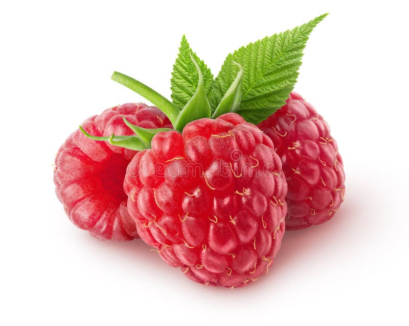 Isolated Berries. Three Raspberry Fruits with Leaves Isolated on White ...