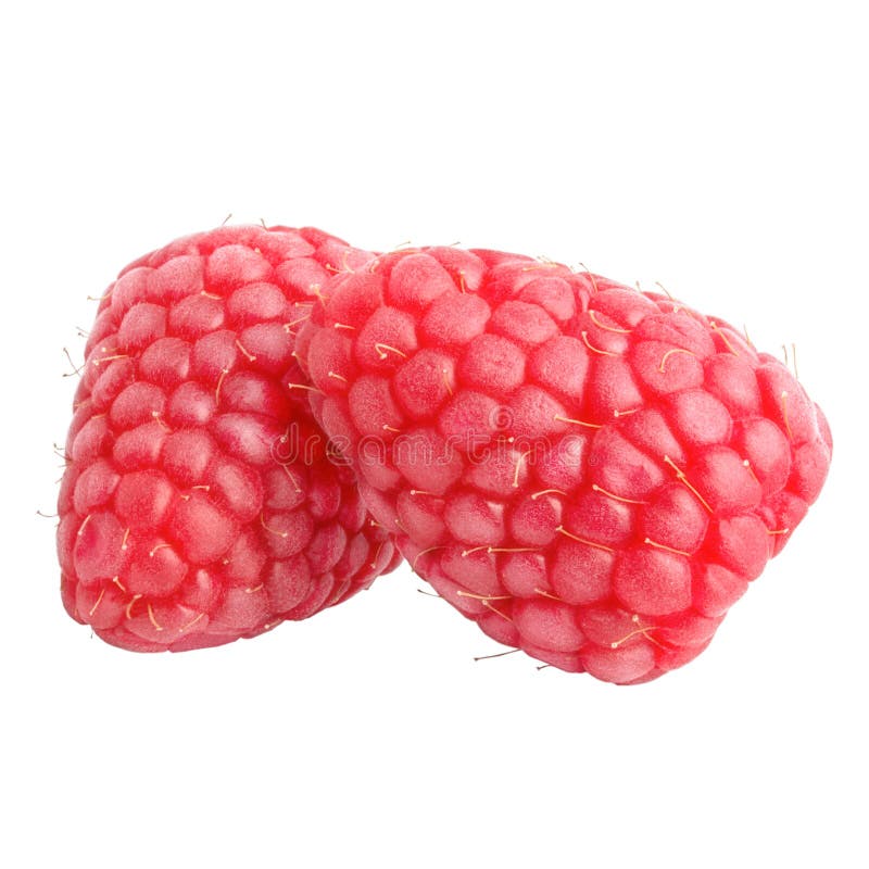 Two Raspberry Fruits with Leaves Isolated on White Stock Photo - Image ...