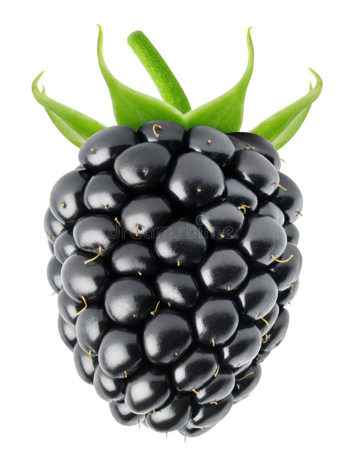 One Blackberry Fruit Png