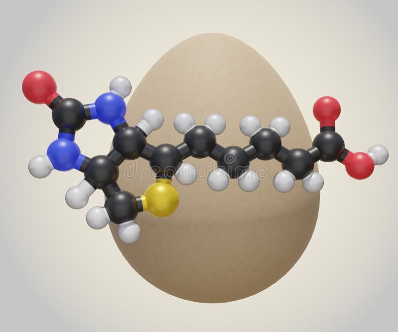 Isolated Biotin Molecule with Eggs Stock Illustration - Illustration of ...