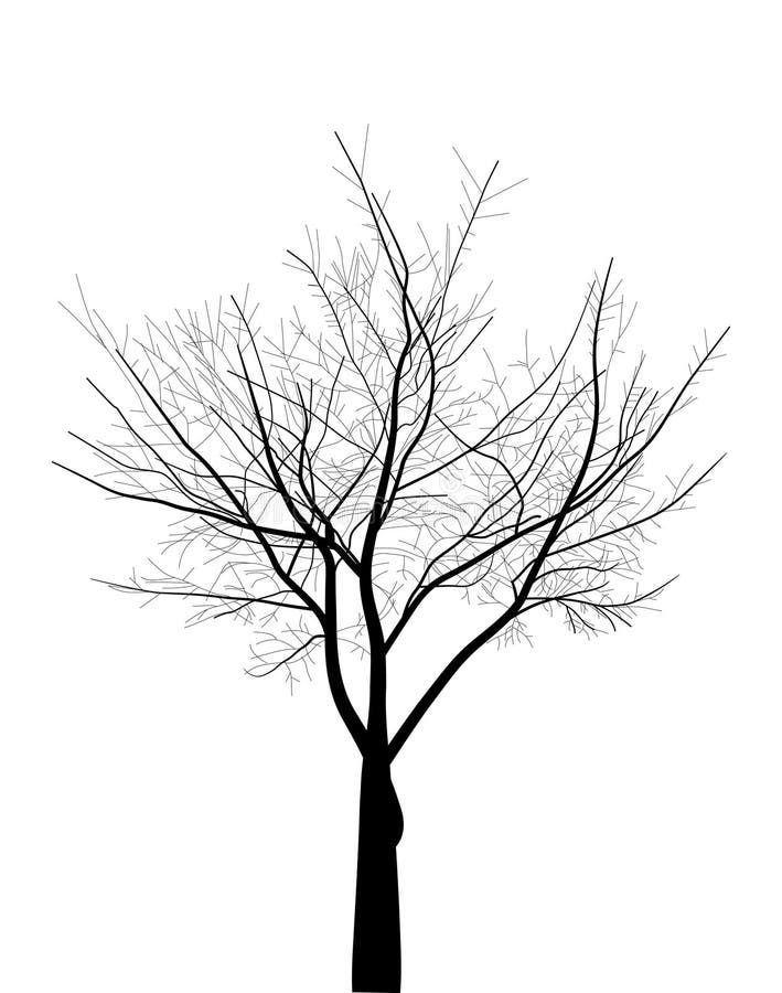 120+ Bare tree illustration Free Stock Photos - StockFreeImages