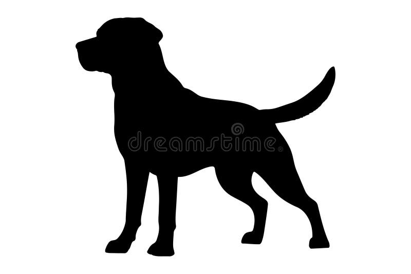 Black Labrador Vector Stock Illustrations – 7,251 Black Labrador Vector ...