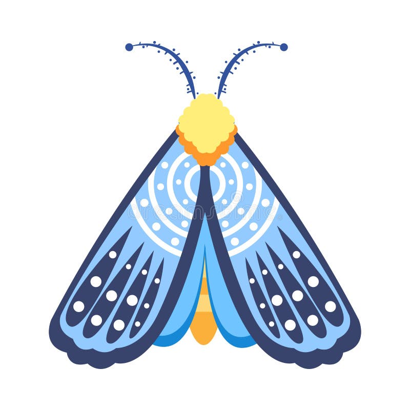 Isolated Blue Moth Vector Illustration Stock Vector - Illustration of ...