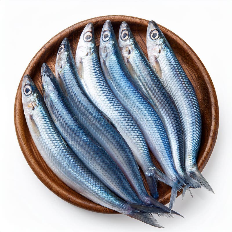Isolated Blue Mullet on White Stock Illustration - Illustration of ...