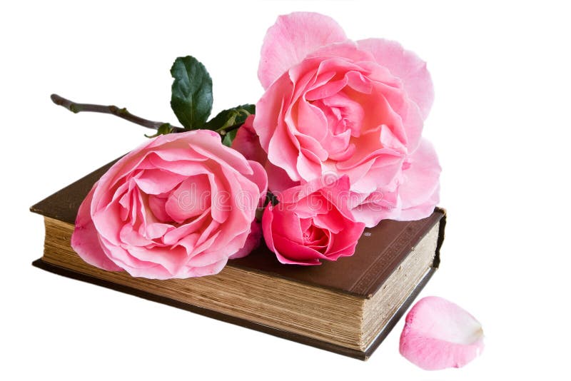 Isolated book and roses stock image. Image of nice, flower - 6529777