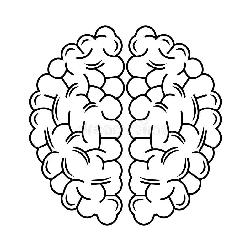 Isolated brain design stock vector. Illustration of think - 81354853
