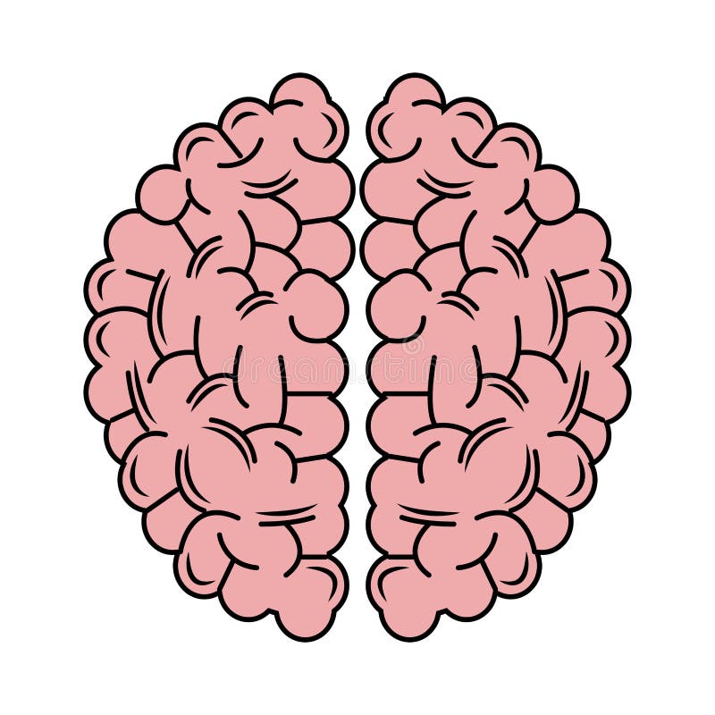 Isolated brain design stock vector. Illustration of medical - 81357936