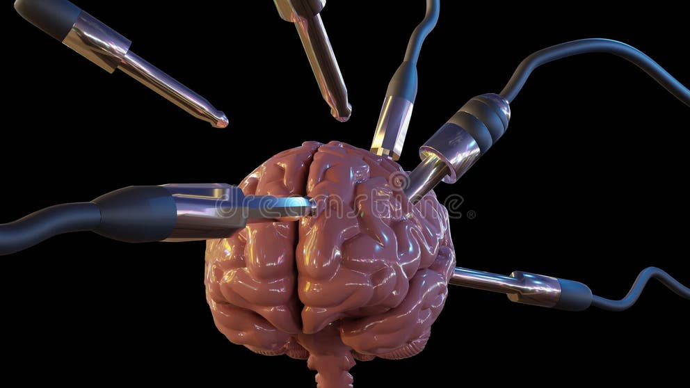 Isolated Brain with Wired Electronical Memory Upload Tool Stock ...