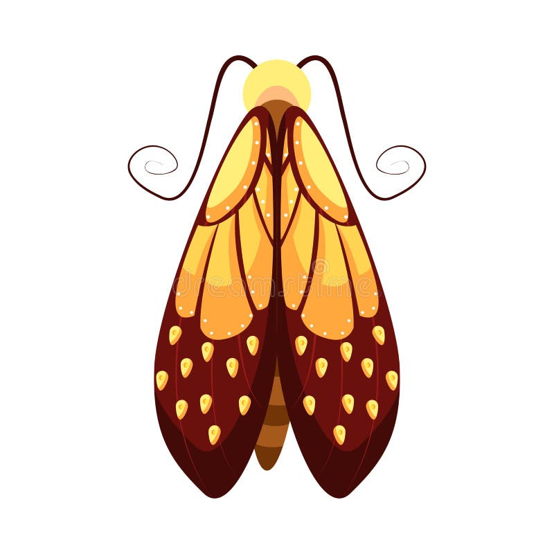 Isolated Brown Moth Vector Illustration Stock Vector - Illustration of ...