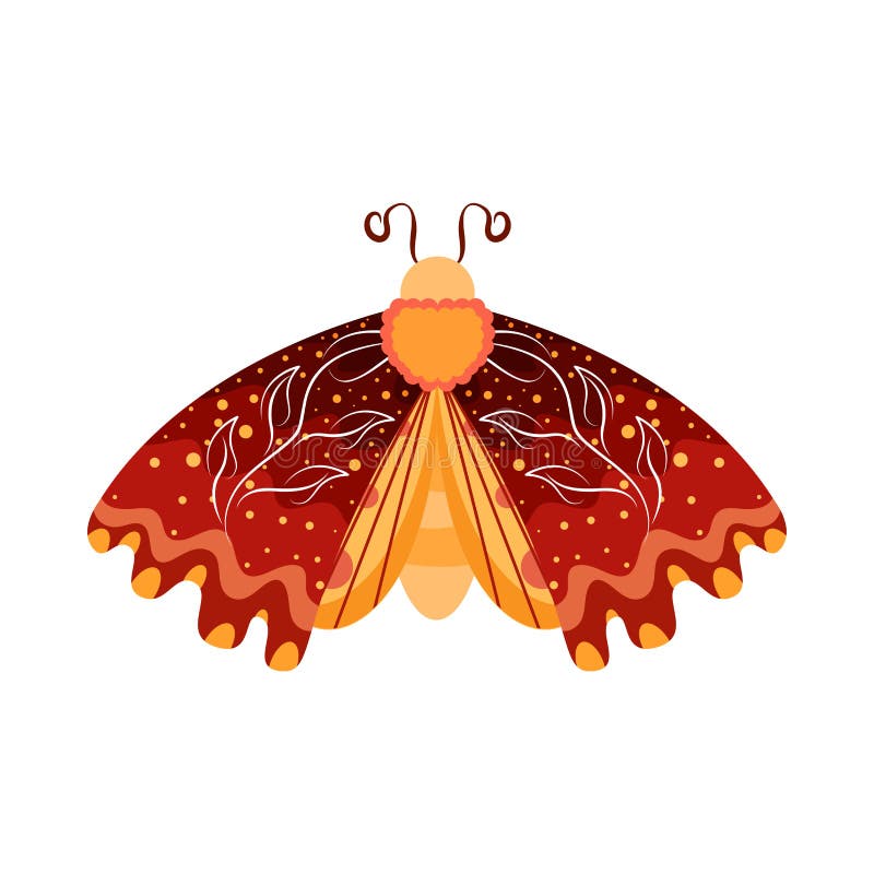 Isolated Brown Moth Vector Illustration Stock Vector - Illustration of ...