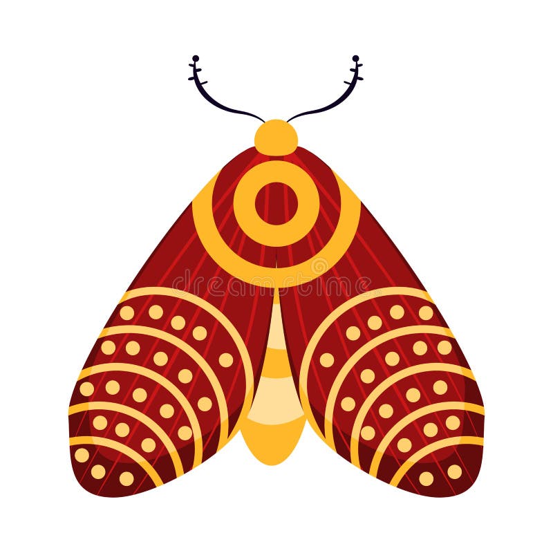Isolated Brown Moth Vector Illustration Stock Vector - Illustration of ...