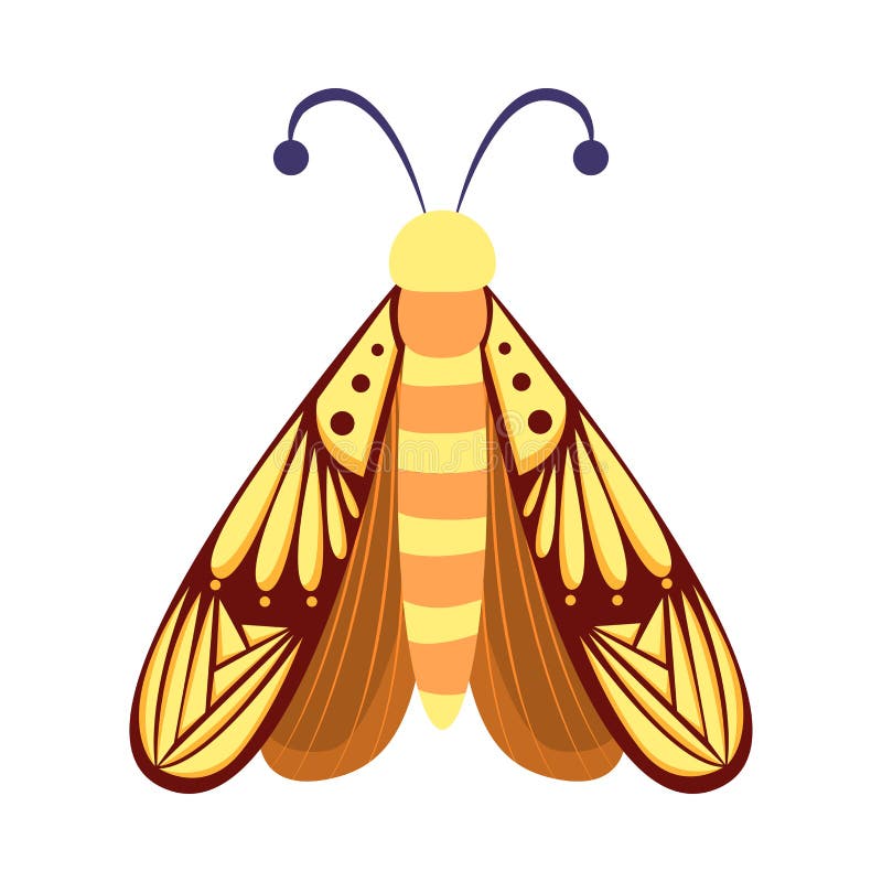 Isolated Brown Moth Vector Illustration Stock Vector - Illustration of ...