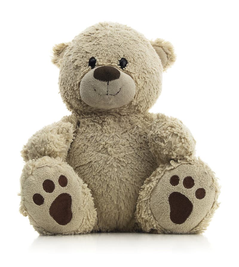 Isolated Brown Teddy Bear stock photo. Image of used - 150278652