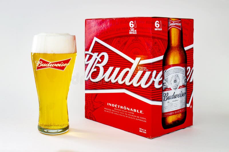 An Isolated Budweiser Beer Pint and Six Pack Beer on a White Background ...