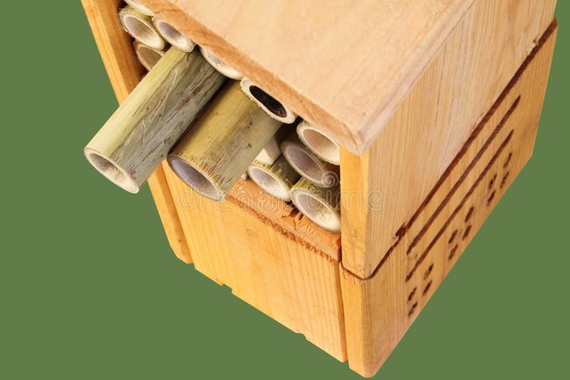 Insect house box stock image. Image of bugs, space, gardening - 16134865