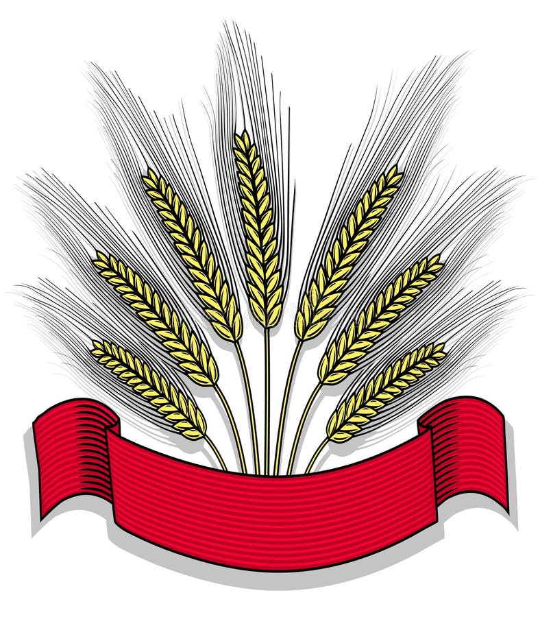 Isolated Bunch of Wheat with Ribbon Stock Vector - Illustration of ...