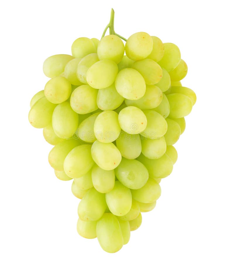Grapes White Background