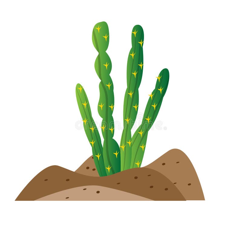 Isolated cactus icon stock vector. Illustration of isolated - 107839365