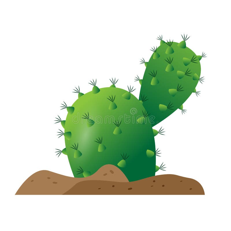 Isolated cactus icon stock vector. Illustration of isolated - 107839365