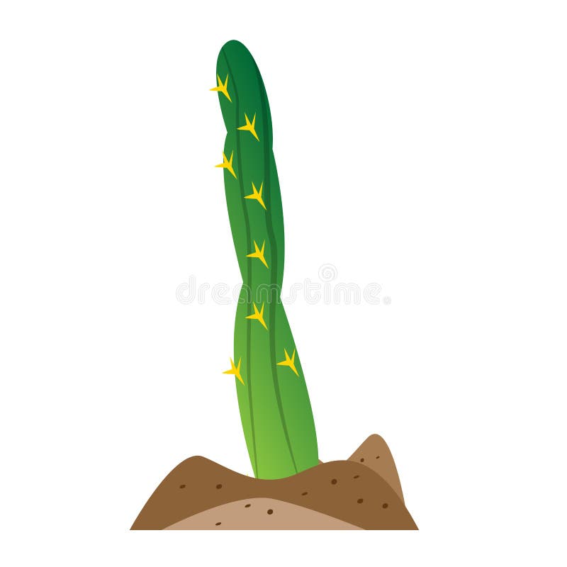 Isolated cactus icon stock vector. Illustration of flower - 179905405