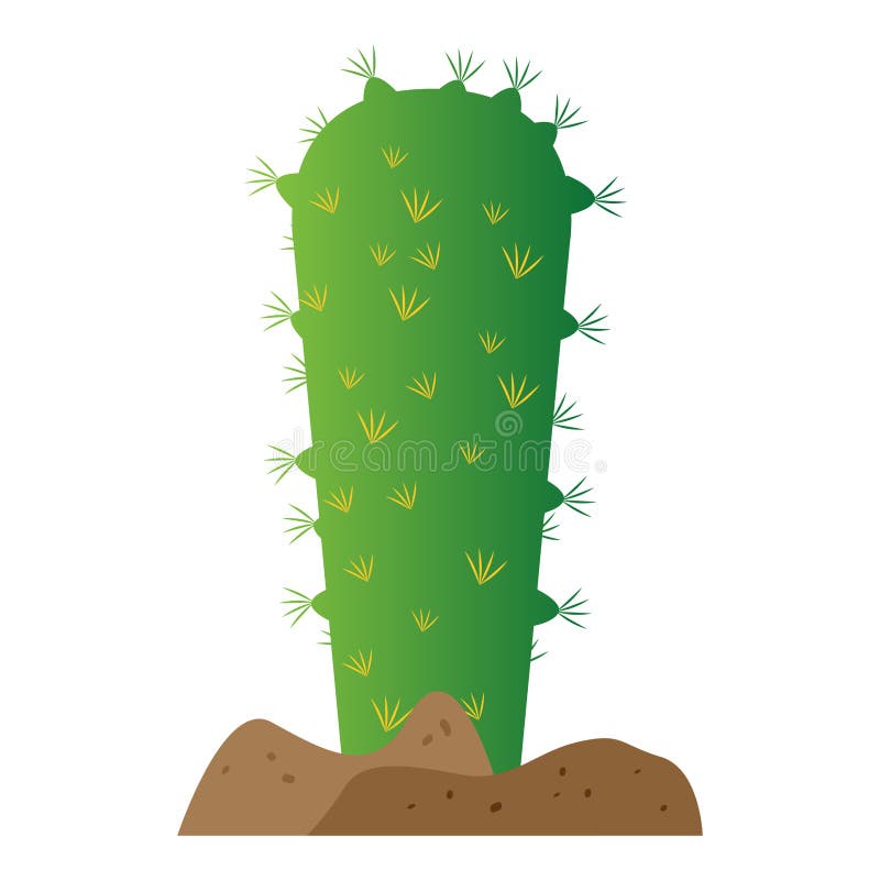 Isolated cactus icon stock vector. Illustration of rocks - 179905443