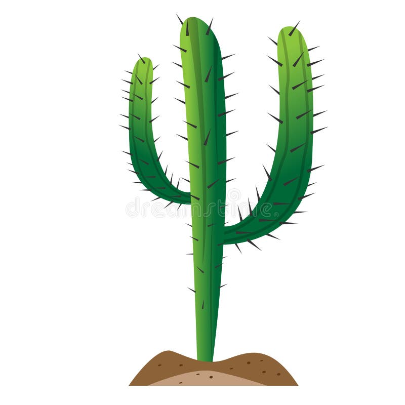 Isolated cactus icon stock vector. Illustration of shape - 179905699