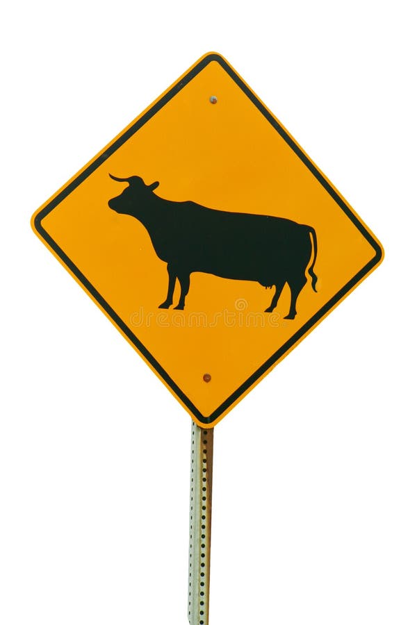 Isolated Cattle Crossing Sign Picture. Image: 4908325