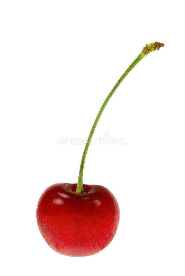 Single Black Cherry stock photo. Image of nutritious, nutrition - 1680114