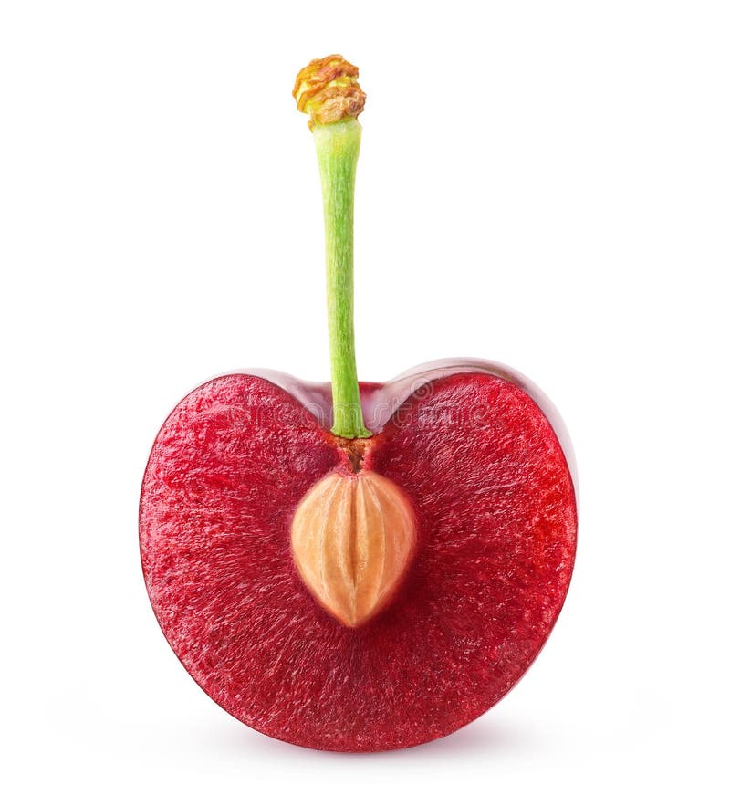 Cherry Half stock photo. Image of studio, curve, flesh - 20694074
