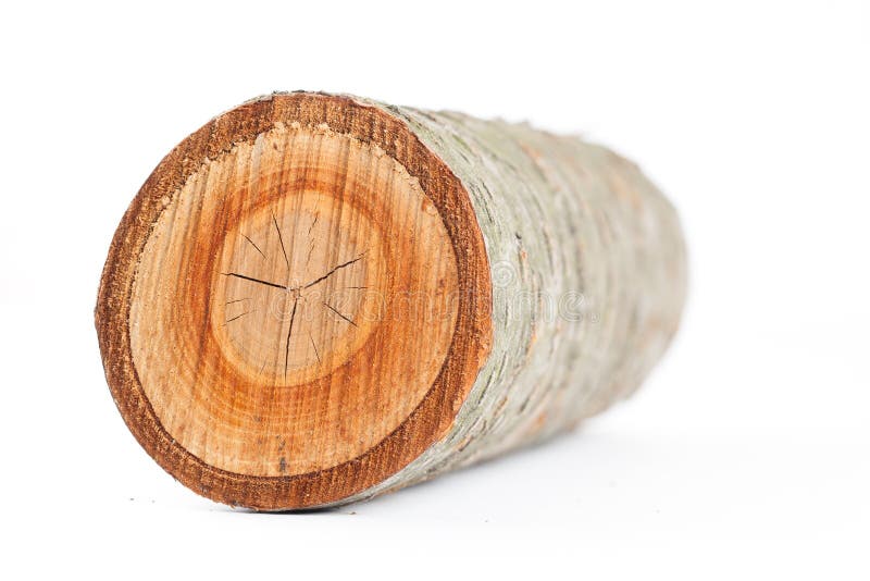 Isolated Cherry Tree Round Log Stock Photo - Image of timber, wood ...