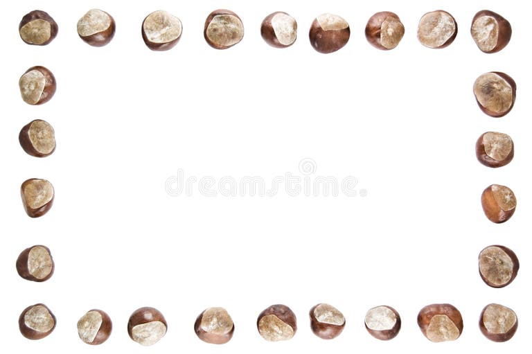 Isolated chestnut frame stock photo. Image of fall, autumn - 11176604