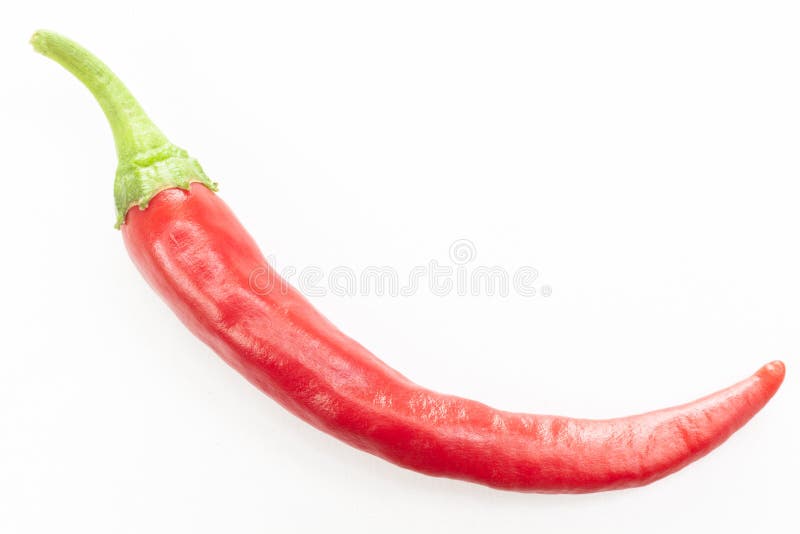 Isolated Chili stock image. Image of natural, design - 26009605