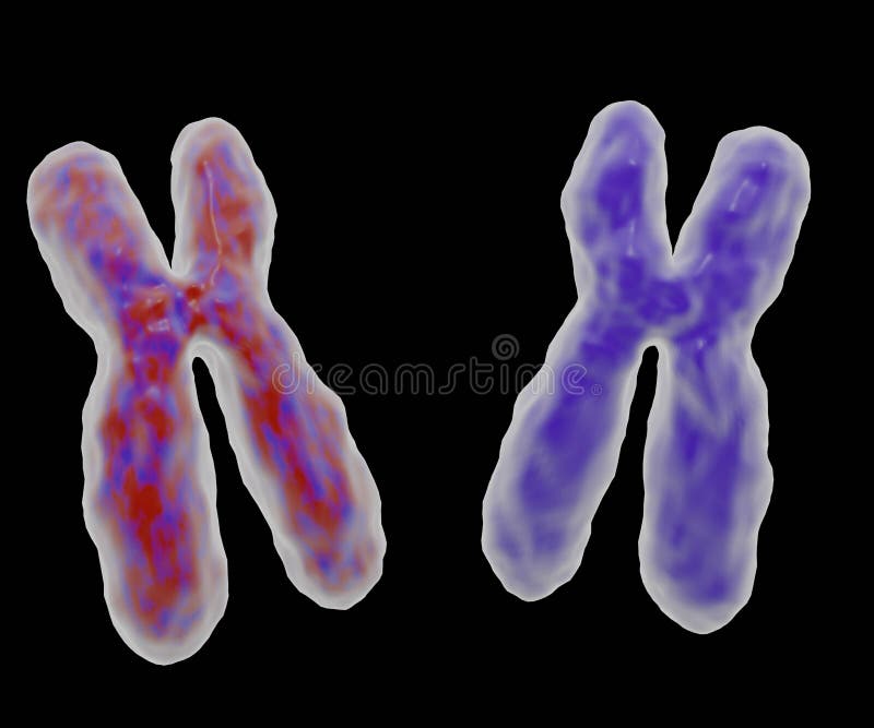 Chromosomal Disorder or Abnormalities Stock Illustration - Illustration ...