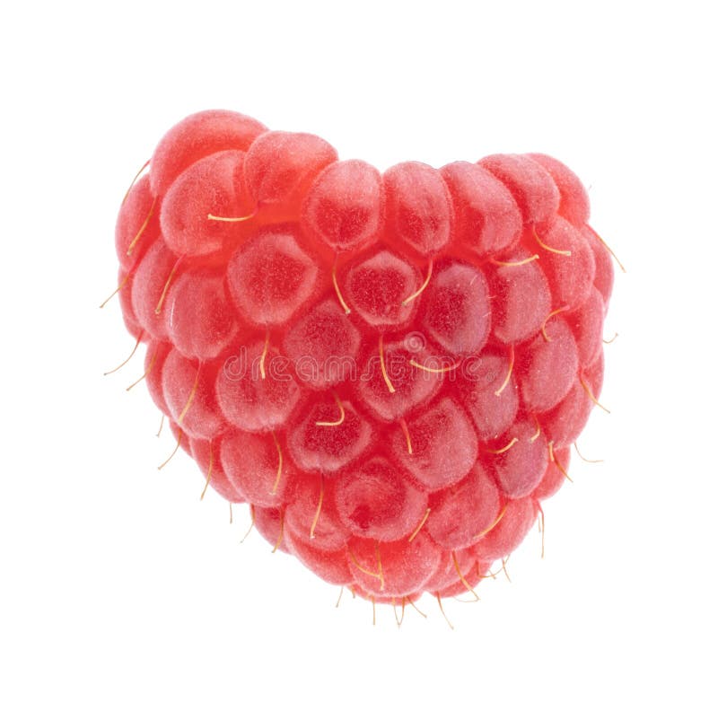 Isolated Close-up Photo of Raspberry Stock Image - Image of fruits ...