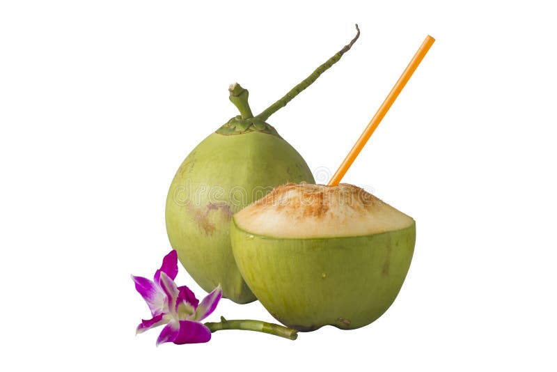 Isolated Coconut on with Background Clean with Drop Stock Image - Image ...