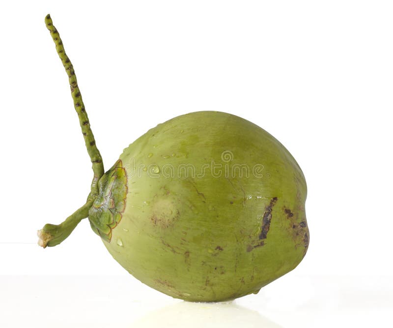 Isolated Coconut On With Background Clean With Drop Stock Image - Image ...