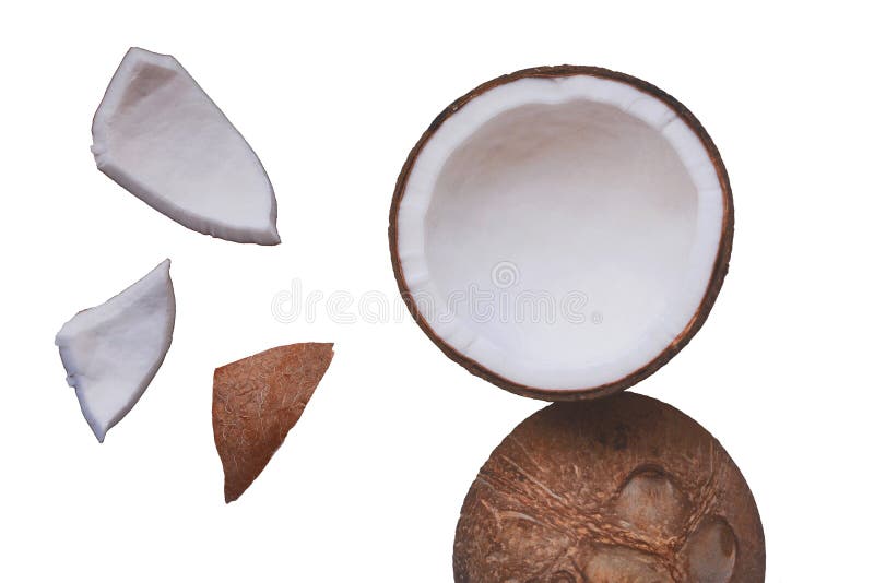 Isolated Coconut on a White Background Stock Image - Image of drink ...
