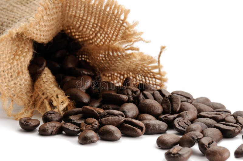 Isolated coffee beans stock photo. Image of agriculture - 19661978