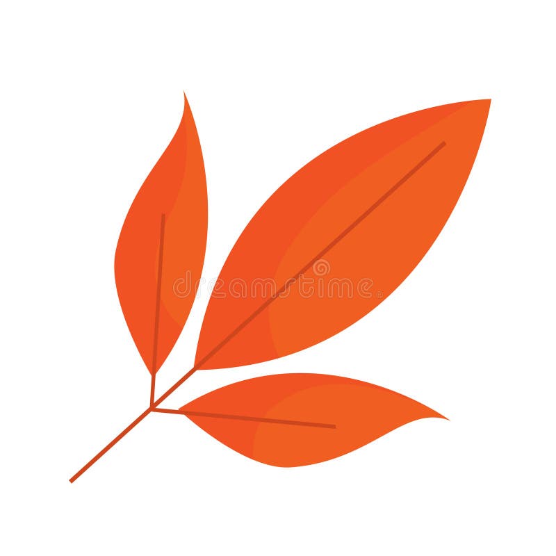 Isolated Colored Autumn Leaf Icon Vector Stock Vector - Illustration of ...