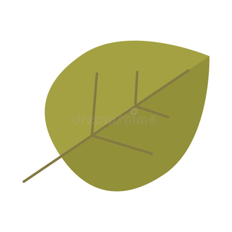 Isolated Colored Autumn Leaf Icon Vector Stock Vector - Illustration of ...