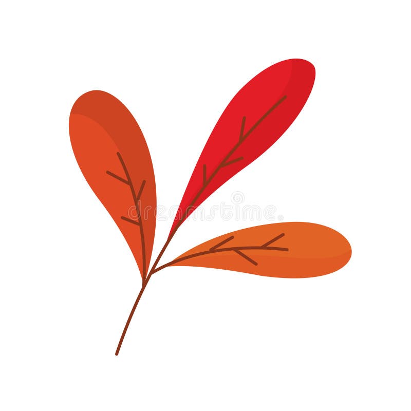 Isolated Colored Autumn Leaf Icon Vector Stock Vector - Illustration of ...