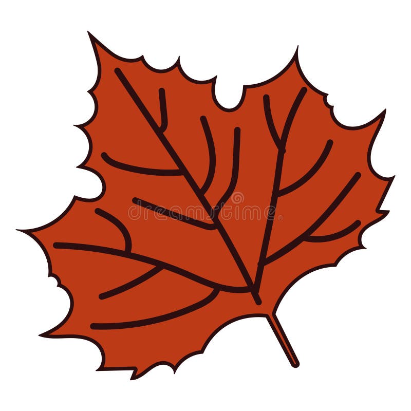 Isolated Colored Autumn Leaf Icon Vector Stock Vector - Illustration of ...